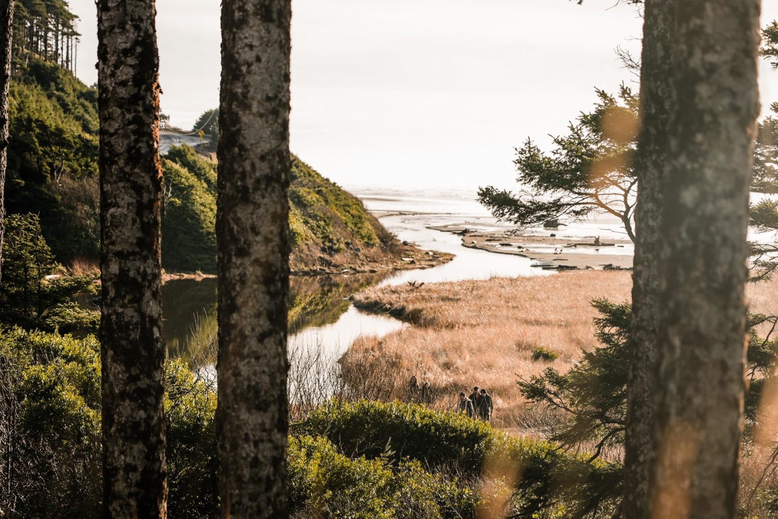 Experience The Washington Coast Come To Life This Spring - Seabrook | A ...
