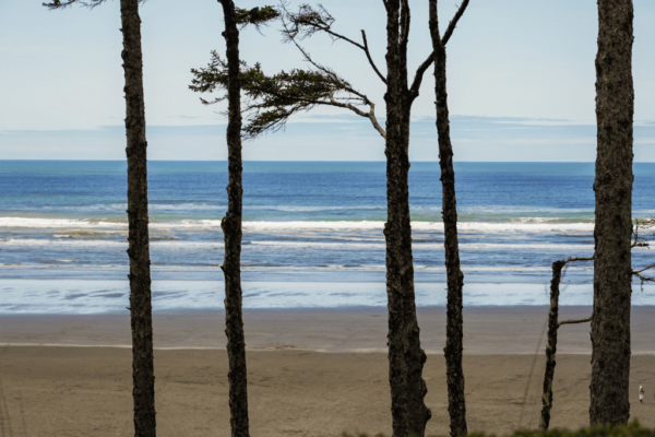 A Summer Built For Memories - Seabrook | A Walkable Coastal Town