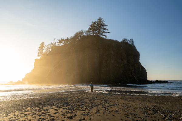 The Call Of The Wild - Seabrook | A Walkable Coastal Town